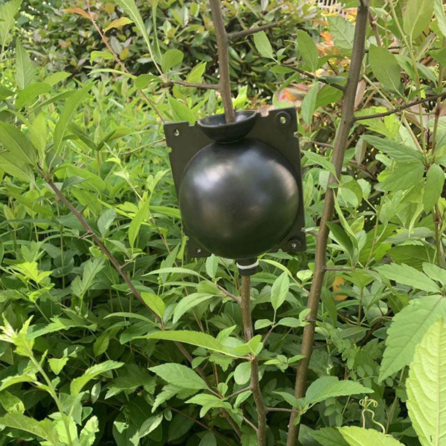 Plant Root Growing Box – kitchoria Eco Shop